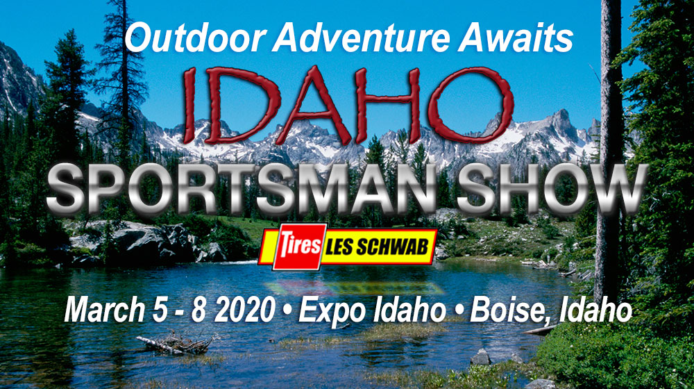 Our Shows – Spectra Productions